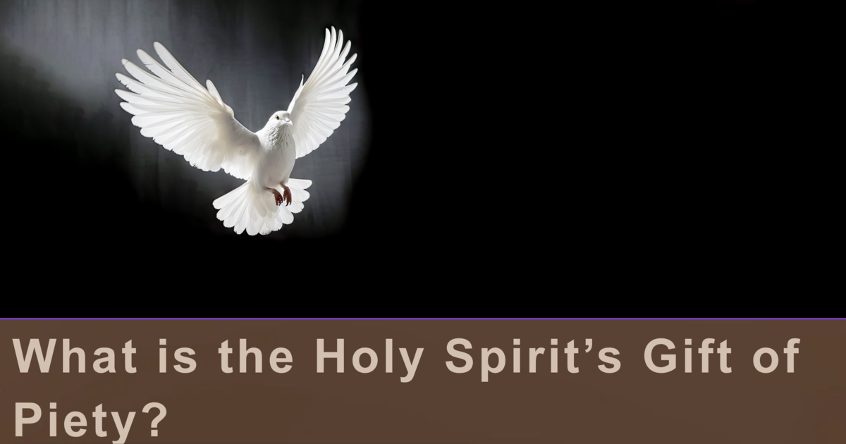 What is the Holy Spirit’s Gift of Piety? | Our Lady of Lourdes